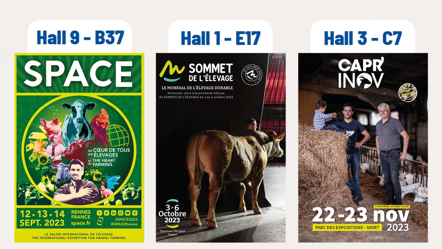 Bonilait | Expert en nutrition animale : ingrédients laitiers et ...